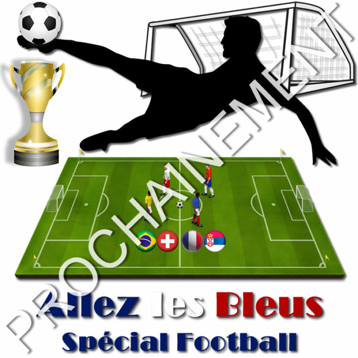 Allez les Bleus - ChassesAuTresor.net
